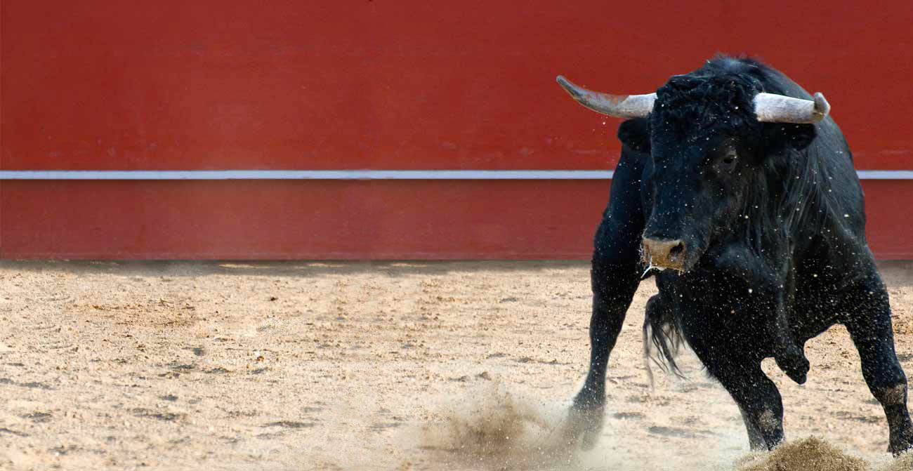 Wild Bill Barrel Bash | Wild Bill Hickok Rodeo